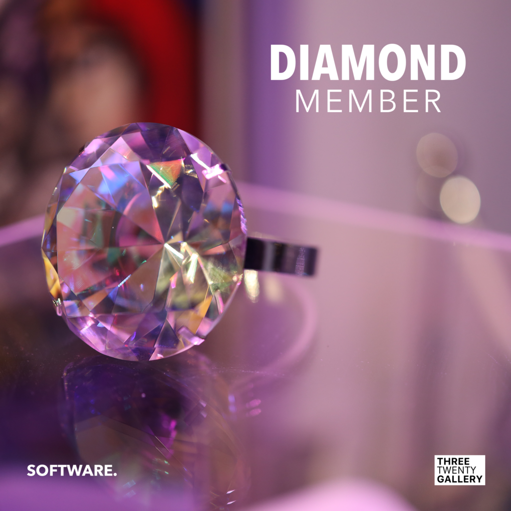 Diamond Member – Three Twenty Gallery